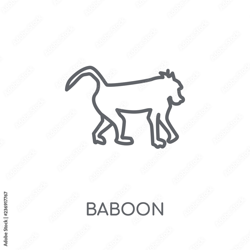 Baboon linear icon. Modern outline Baboon logo concept on white ...