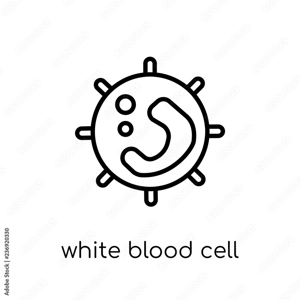 White blood cell icon. Trendy modern flat linear vector White blood ...