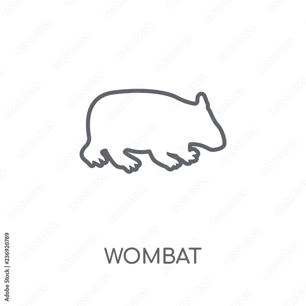Wombat linear icon. Modern outline Wombat logo concept on white ...