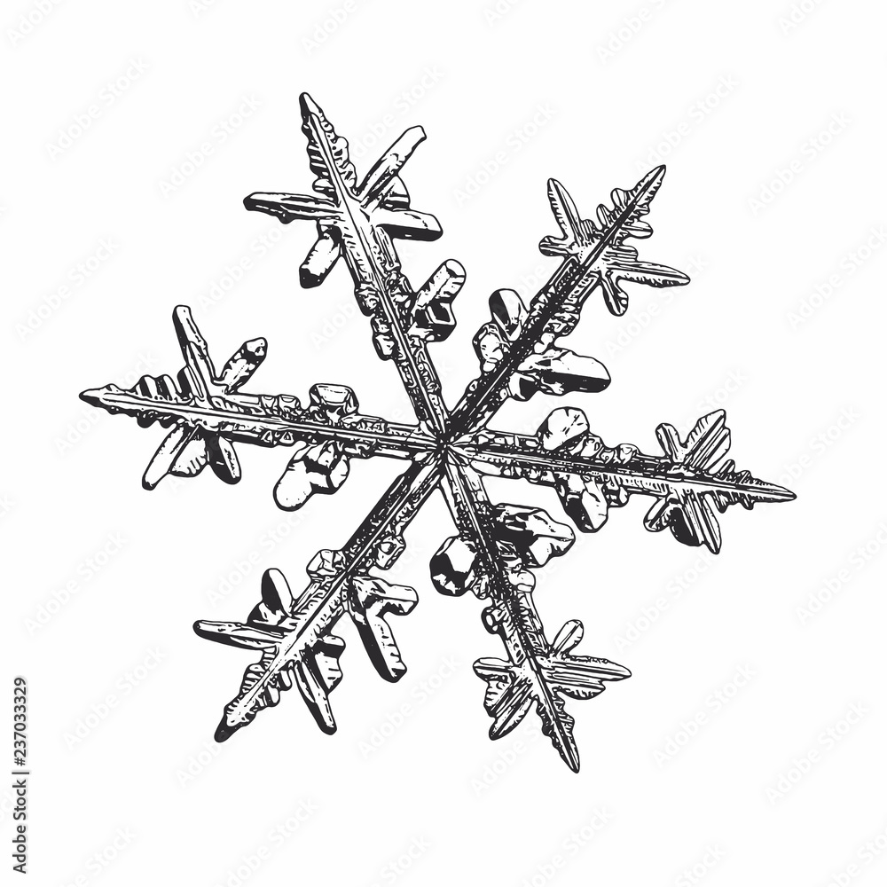 Snowflake isolated on white background. Vector illustration based on ...