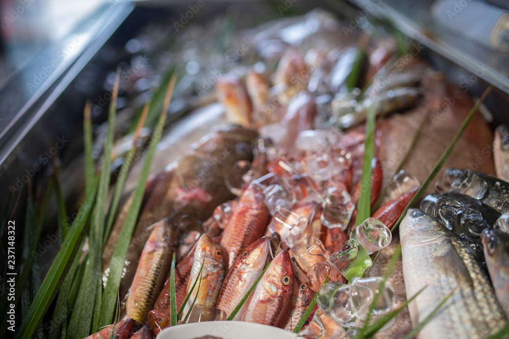 Lobster, octopus, red mullet, boops boops, sea bass, sea bream, white ...