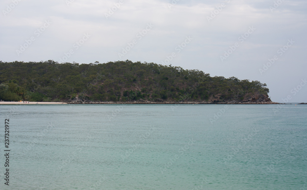 A tropical forest on the Great Keppel Island in the Tropic of Capricorn ...