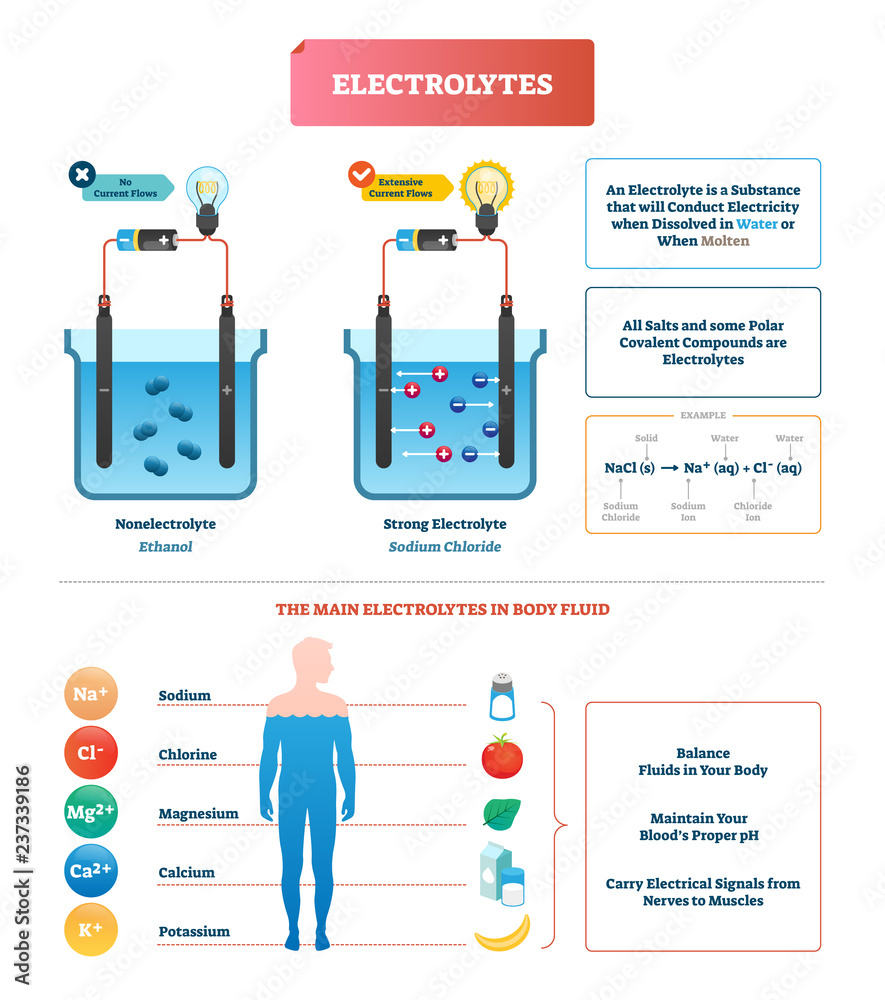 Electrolytes test vector illustration. Body fluid labeled diagram ...