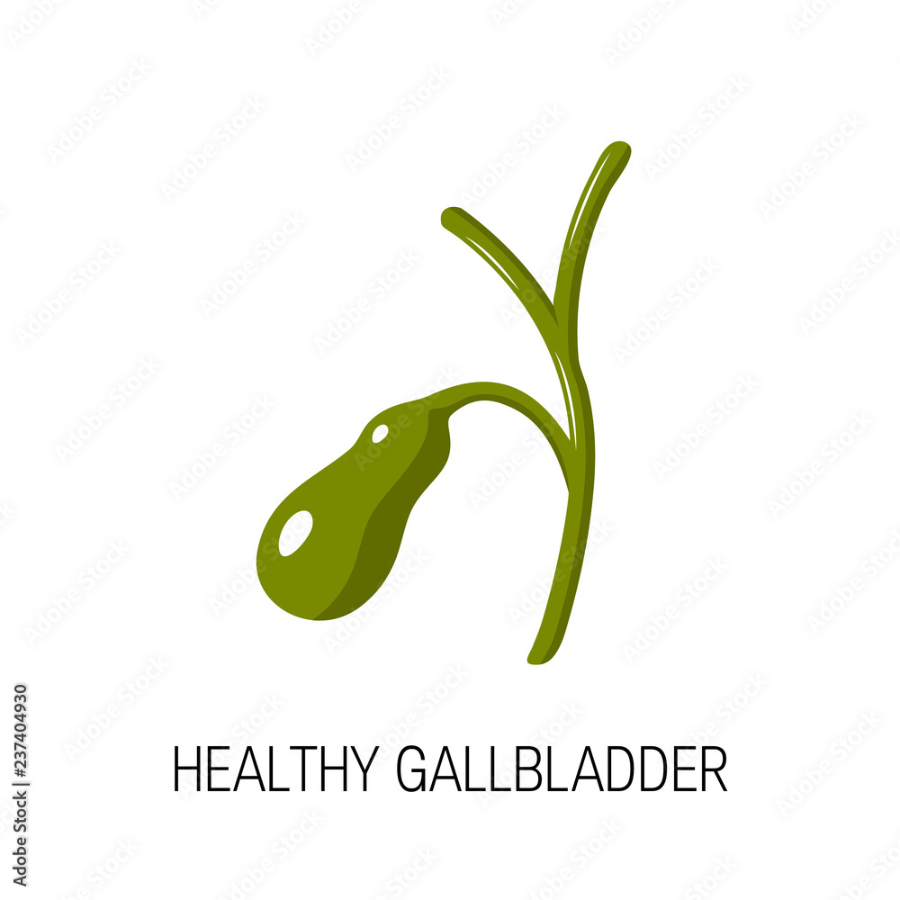 Healthy gallbladder concept, vector illustration Stock Vector | Adobe Stock