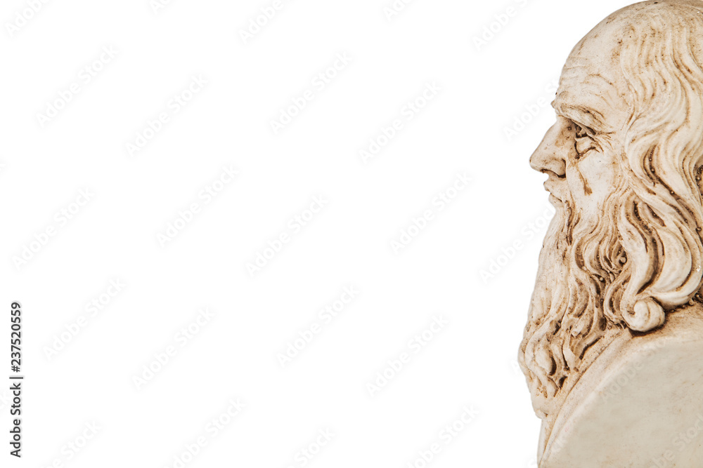 Leonardo da Vinci perspective white background Stock Photo | Adobe Stock
