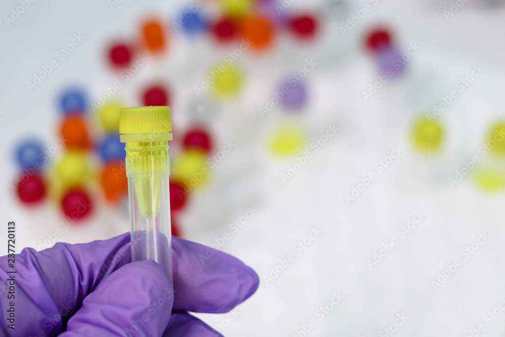 Tubes in the PCR laboratory. In vitro reagents for PCR analysis for ...