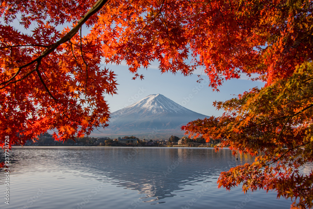 Foto de Stock Mount Fuji, Autumn in Mt. Fuji, Japan - Lake Kawaguchiko , Colorful Autumn Season ...