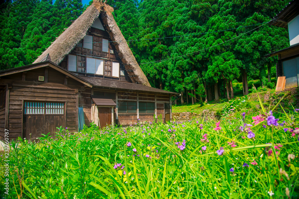 Ainokura Gassho Zukuri farmhouses in Toyama, Japan. Japan is a country ...