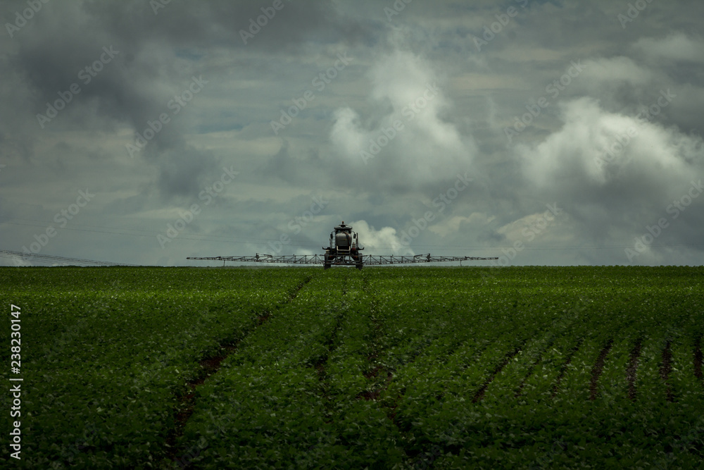 Pulverização de herbicida em plantações onde havia o cerrado nativo ...