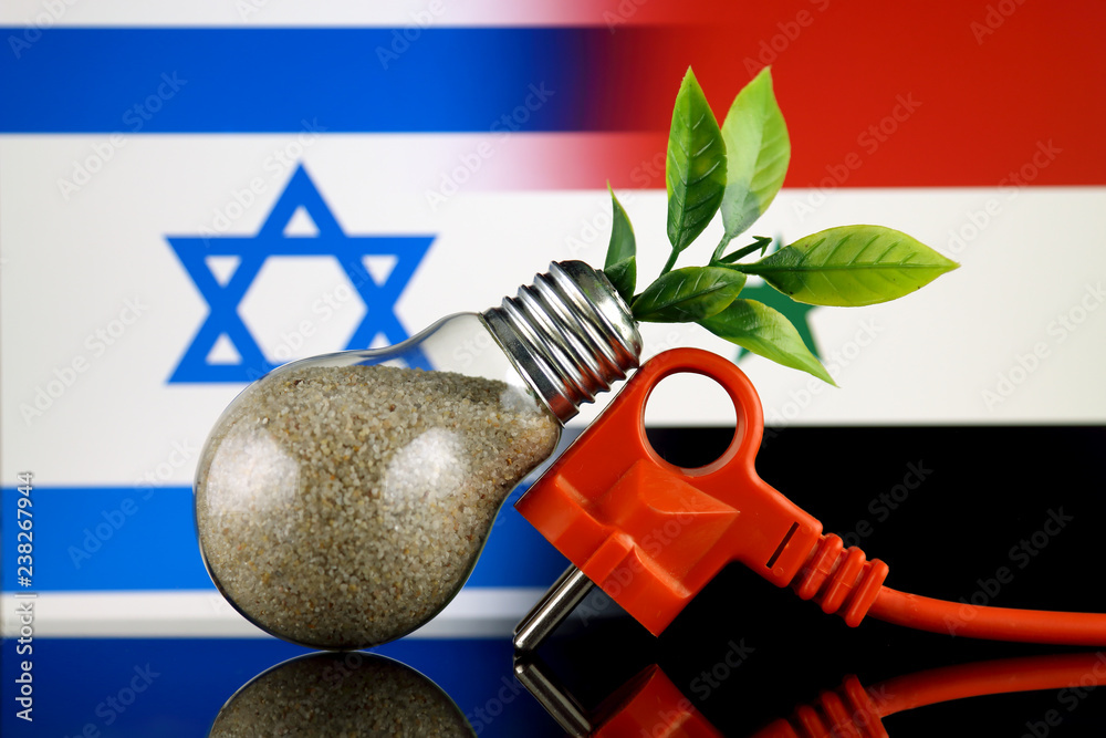 Plug, plant growing inside the light bulb, Israel and Syria Flag. Green ...