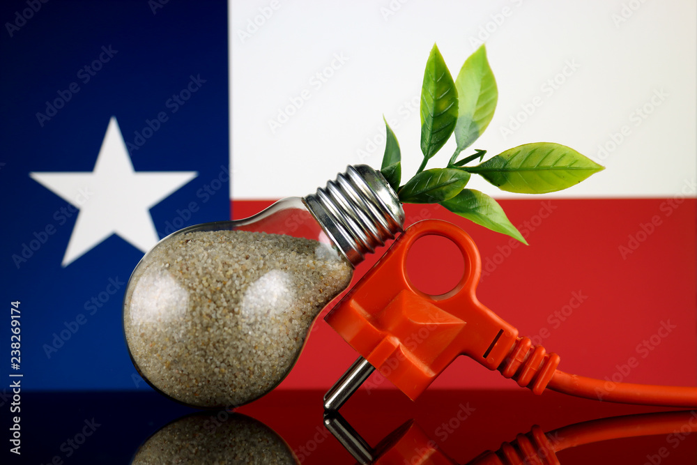 Plug, plant growing inside the light bulb and Texas State Flag. Green ...