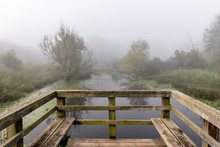 Platform Overlooking Pond Free Stock Photo - Public Domain Pictures