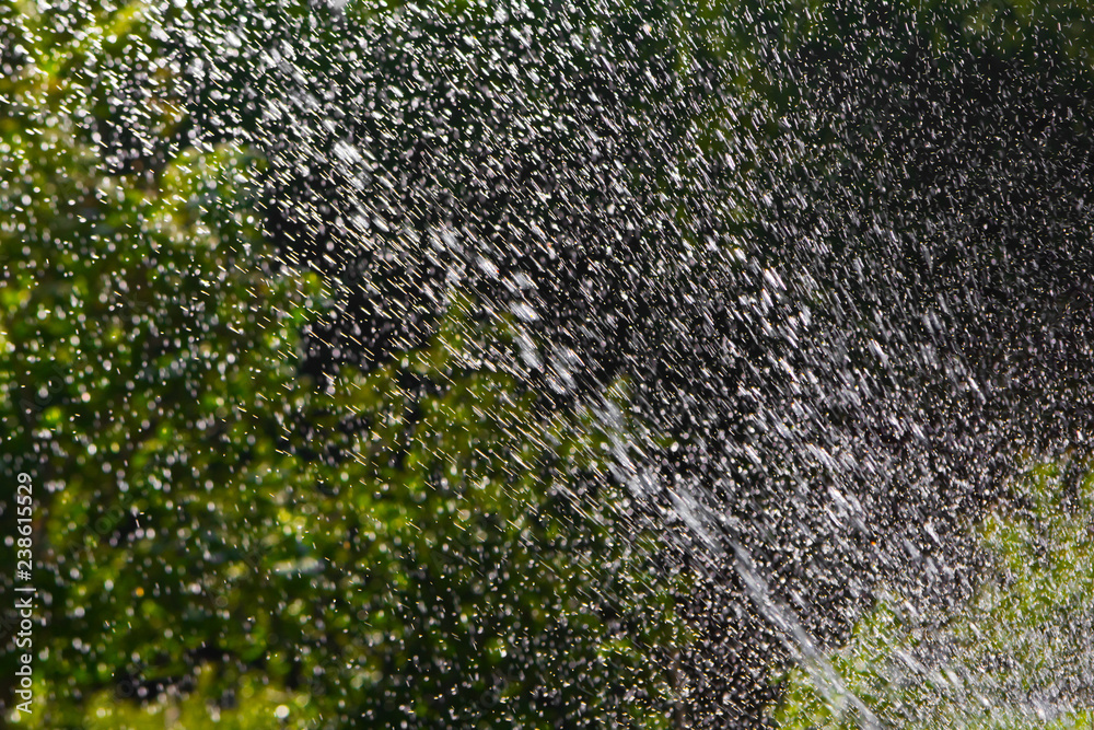 hose from which flows a stream of clean water for watering beds on a ...