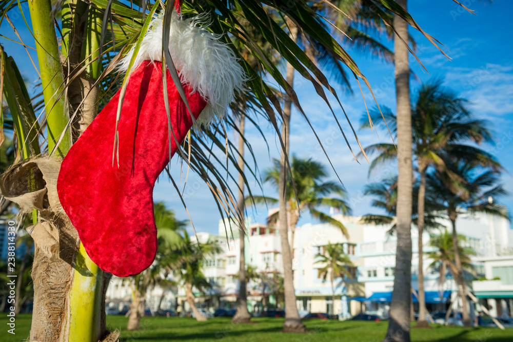 Christmas stocking hanging from palm tree in front of bright tropical ...
