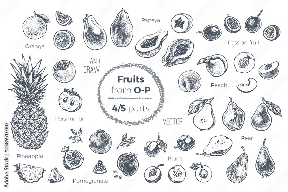 Fruits hand drawn sketch icons set. Organic food Stock Vector | Adobe Stock