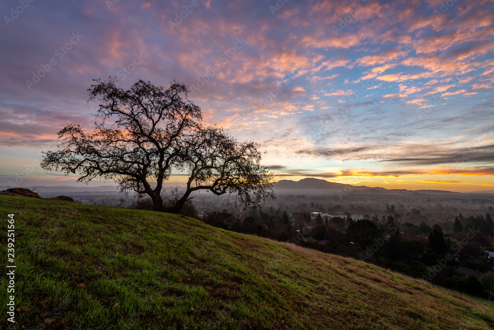 Dinosaur Hill Park at Dawn Stock Photo | Adobe Stock