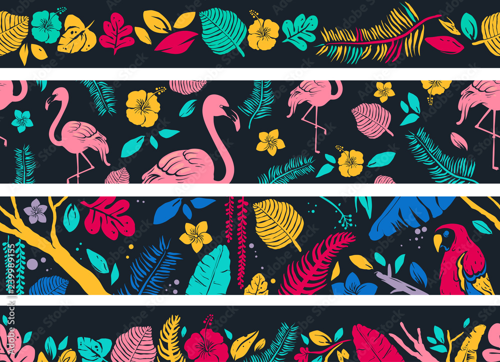 Tropical Borders Illustration Stock Vector | Adobe Stock