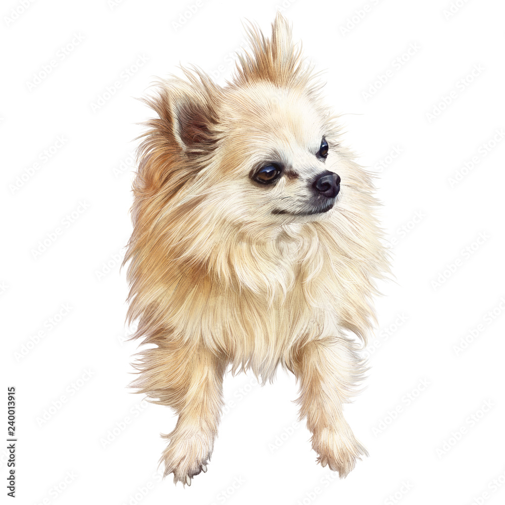 Illustration of handsome dog isolated on white background. Mittel ...