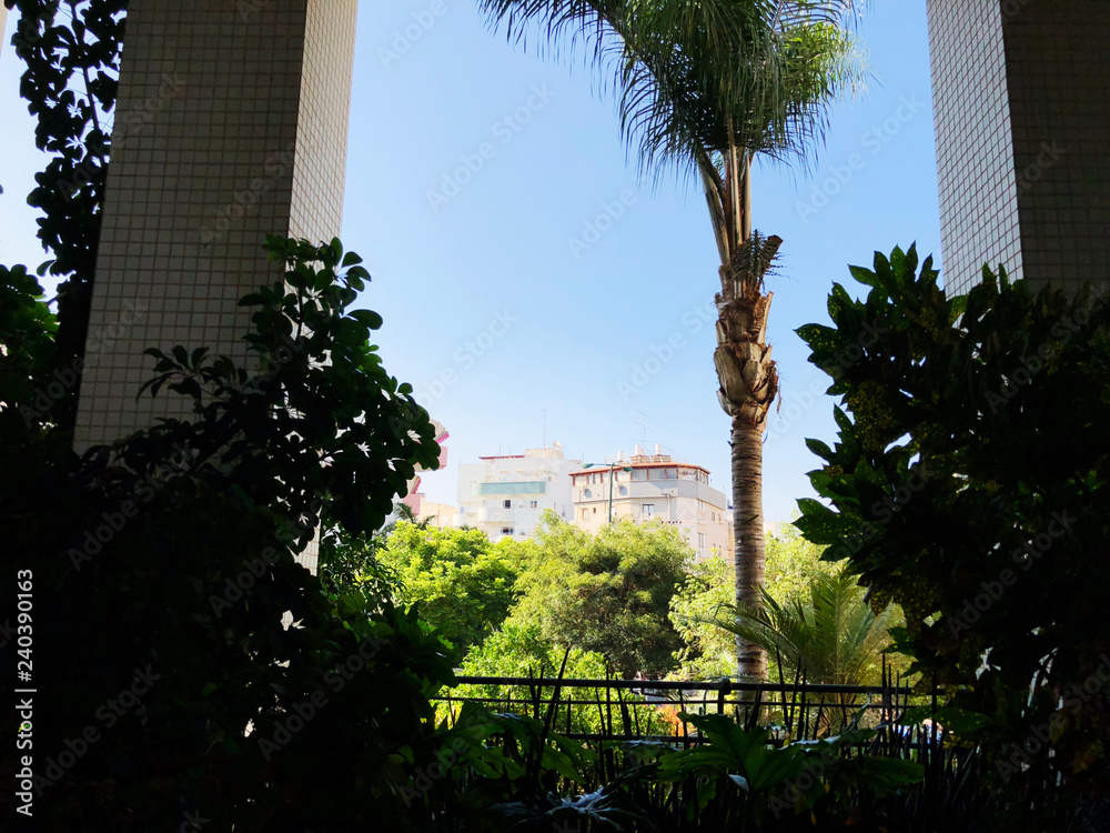 Residential buildings and surrounded with green plants in Rishon Le ...