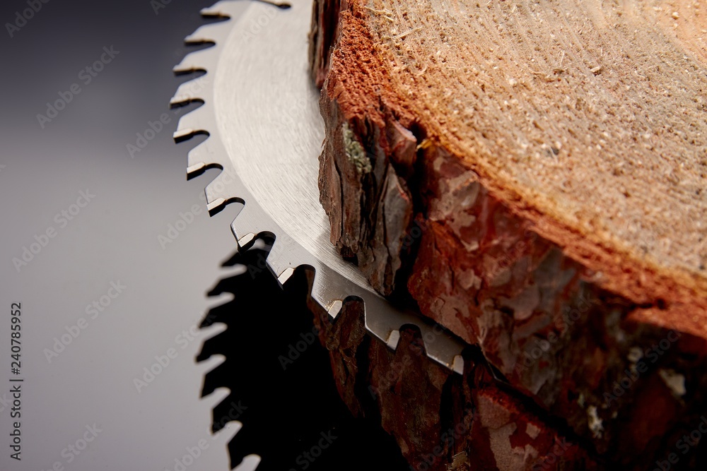 Mechanical circular saw, the best assistant when sawing wood in small ...