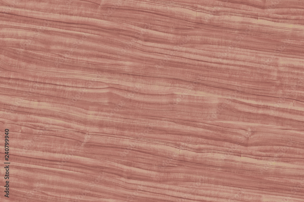 jacaranda timber tree wood grain structure texture background backdrop ...