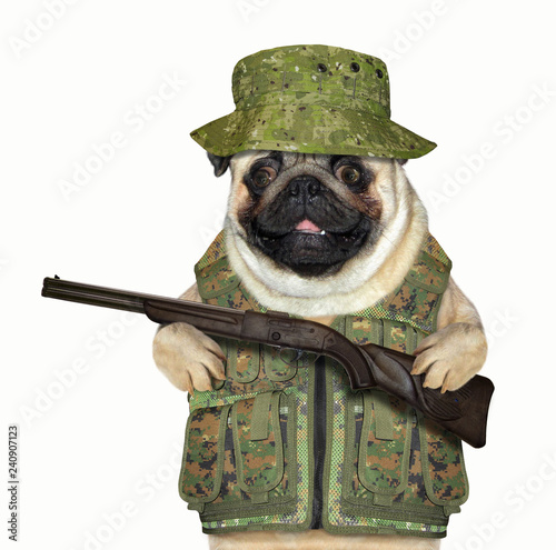 The dog in military uniform is holding a gun. White background. Stock ...