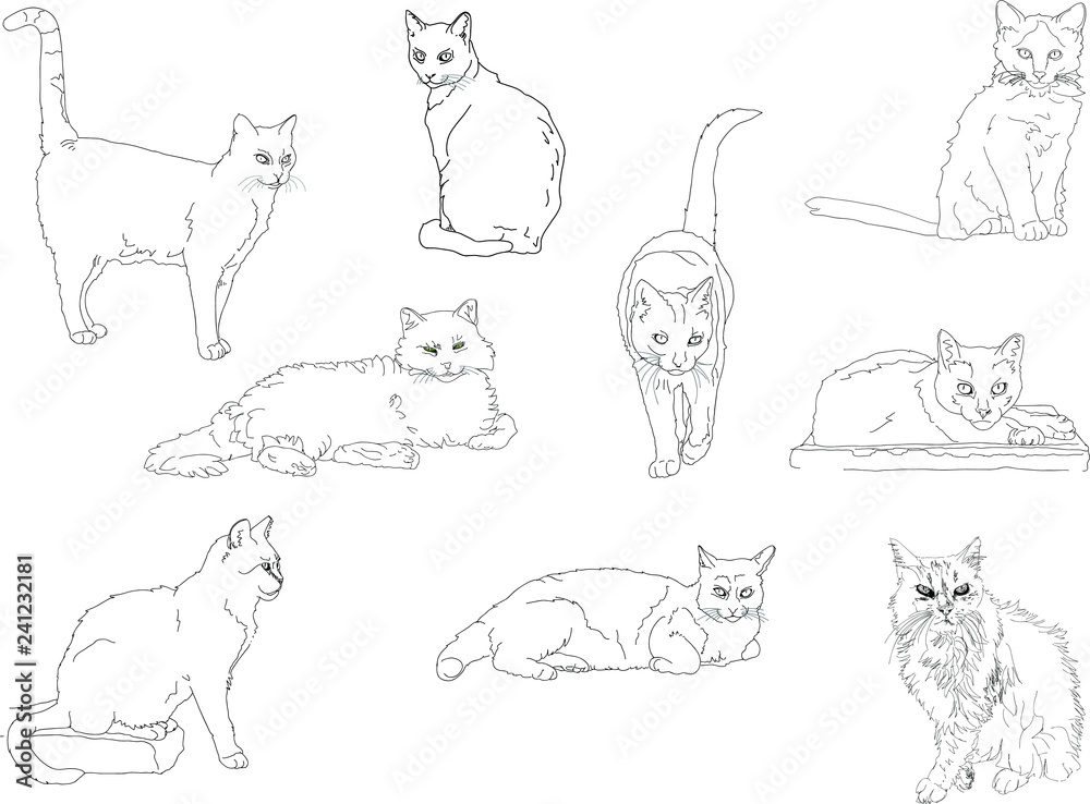 Hand drawn vector illustration. Clip art. Cute stray cats with scrappy ...