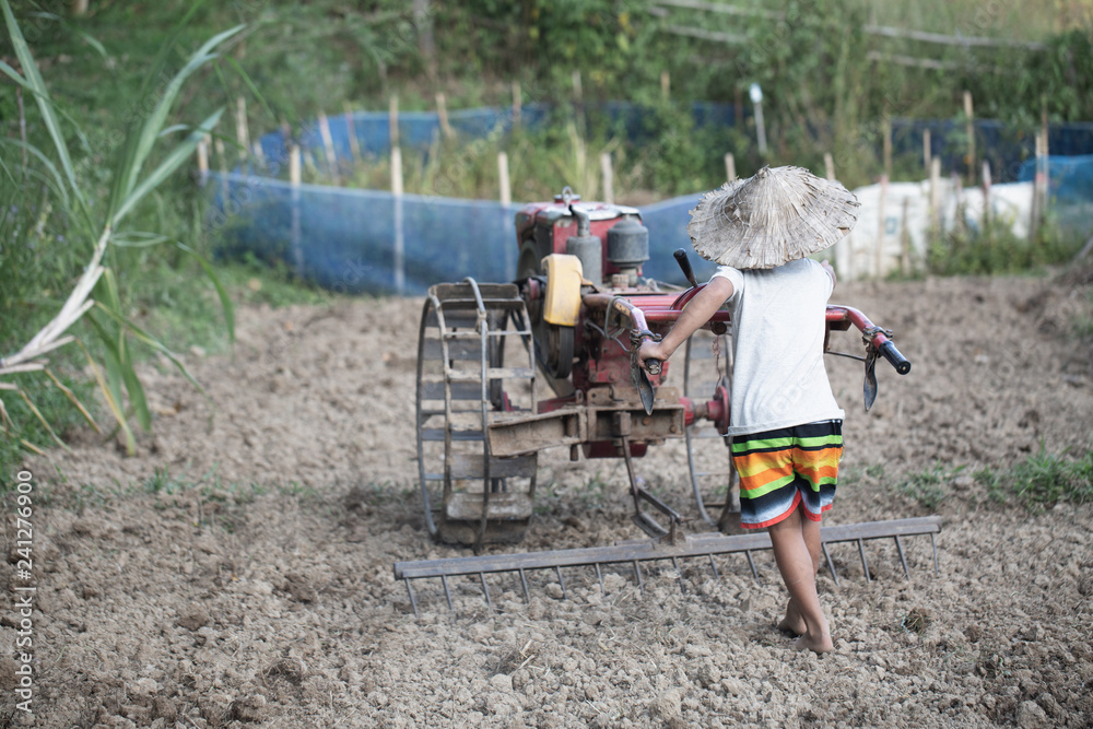 Child labor, Poor children driving a plow farming area, Children have ...