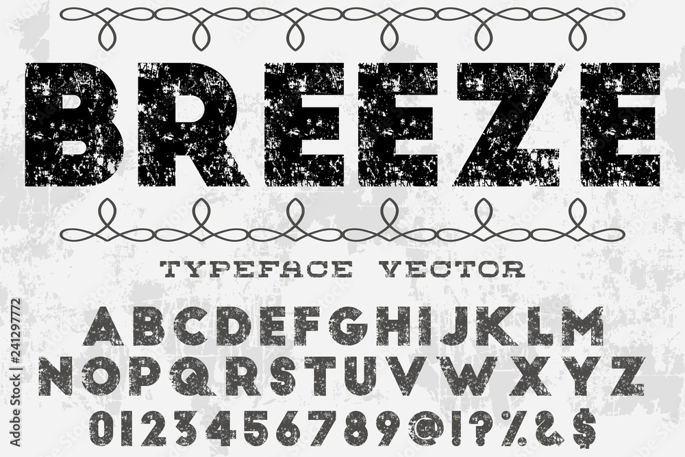 Calligraphic alphabet. Vector letters and numbers. Font, Typeface ...