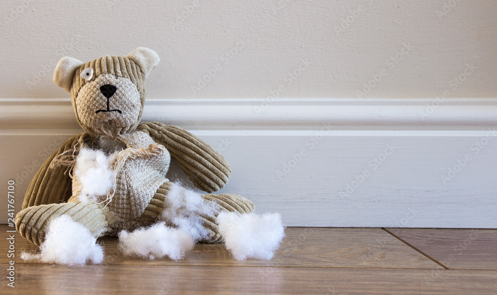 Sad Abandoned and Damaged Teddy Bear with stuffing falling out Stock Photo Adobe Stock