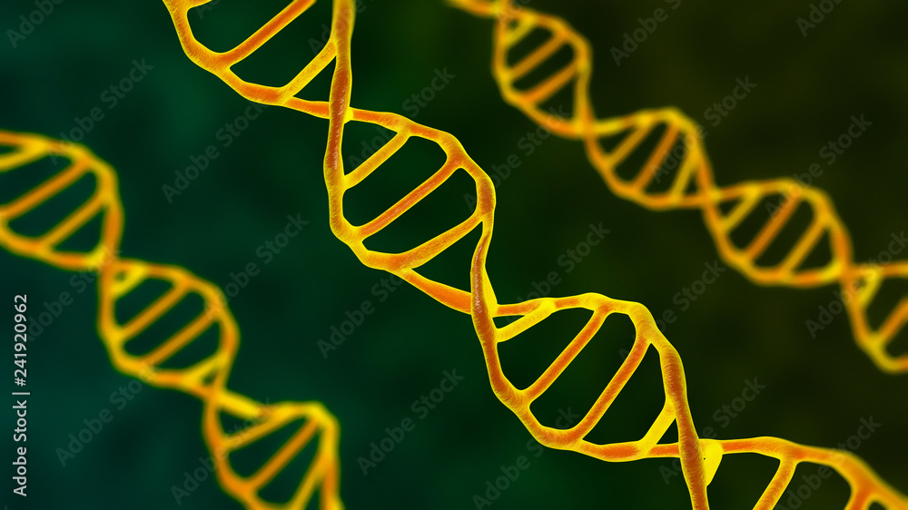 This scene was examined under an electron microscope of a DNA molecule ...