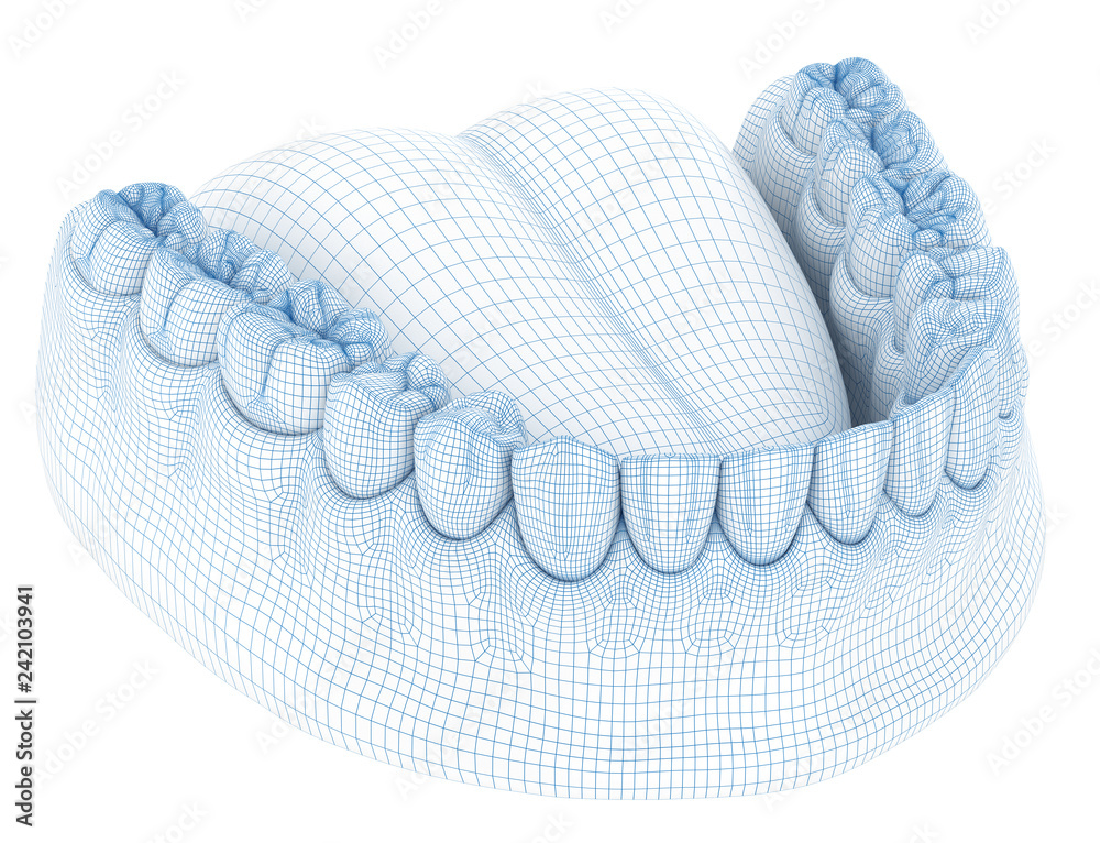 Morphology of mandibular human gum and teeth. Wire 3d model ...