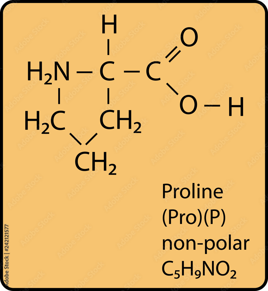 Proline Amino Acid Molecule Skeletal Structure Stock Vector | Adobe Stock