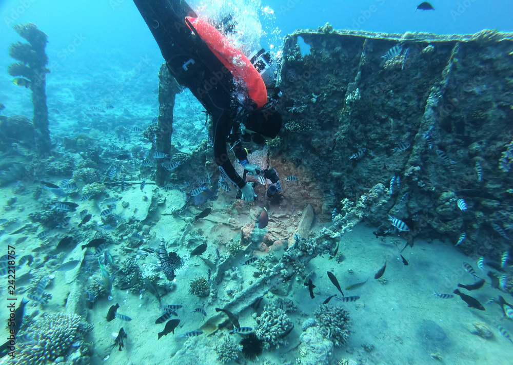 Underwater photography.Diving photographer taking picture of small fish ...