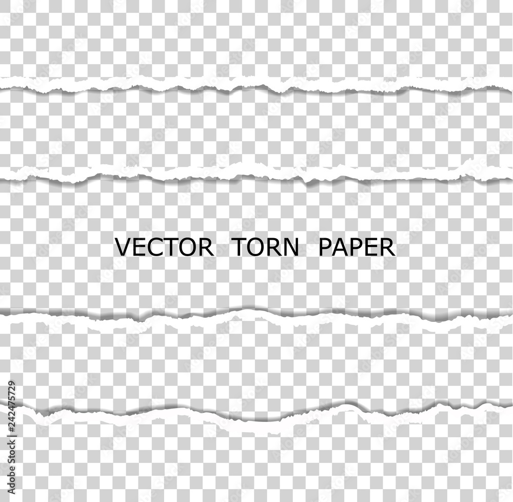 Vector realistic torn paper on transparent background. Torn Paper Edge ...