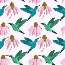 Seamless Hummingbird Pattern Free Stock Photo - Public Domain Pictures