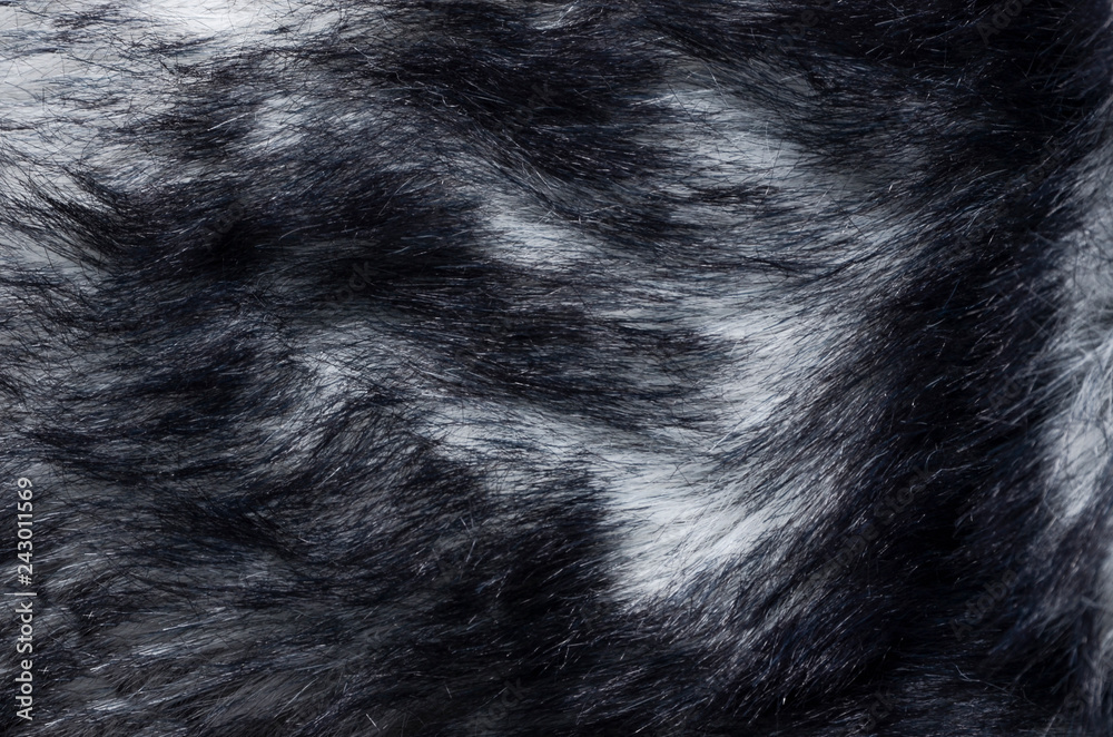 Wolf fur texture background. Grey and white animal coat, pattern, skin ...