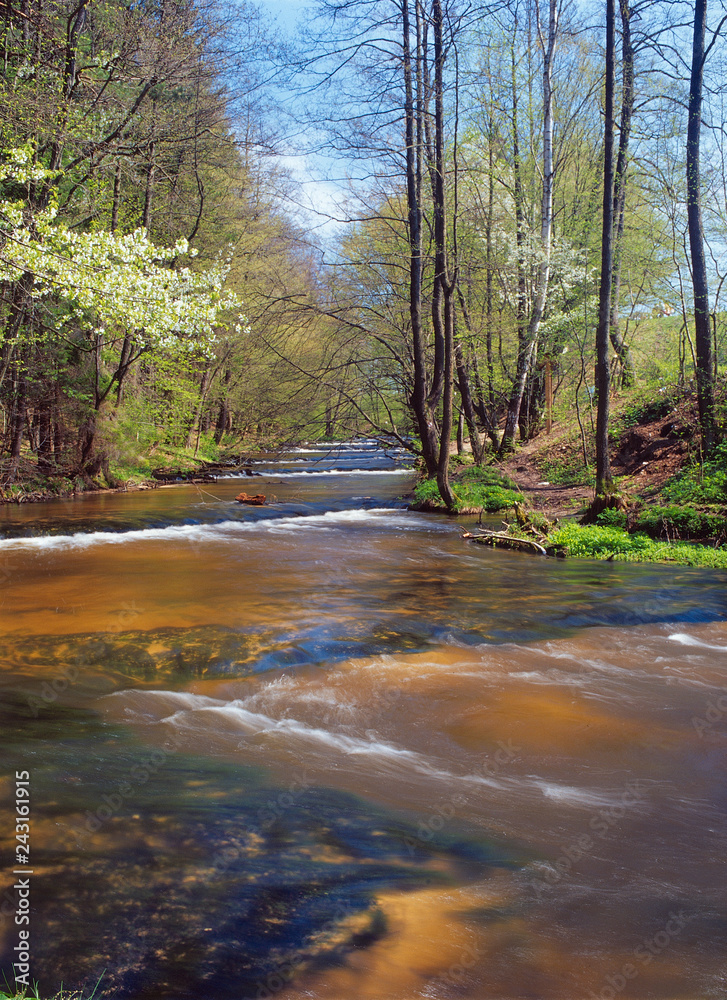 Szumy na Tanwi (Cascades on Tanew River) Roztocze, Roztoczanski Park ...