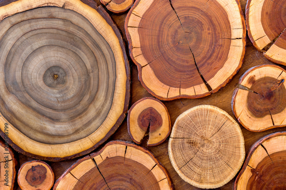 Photo Stock Round wooden unpainted solid natural ecological soft ...