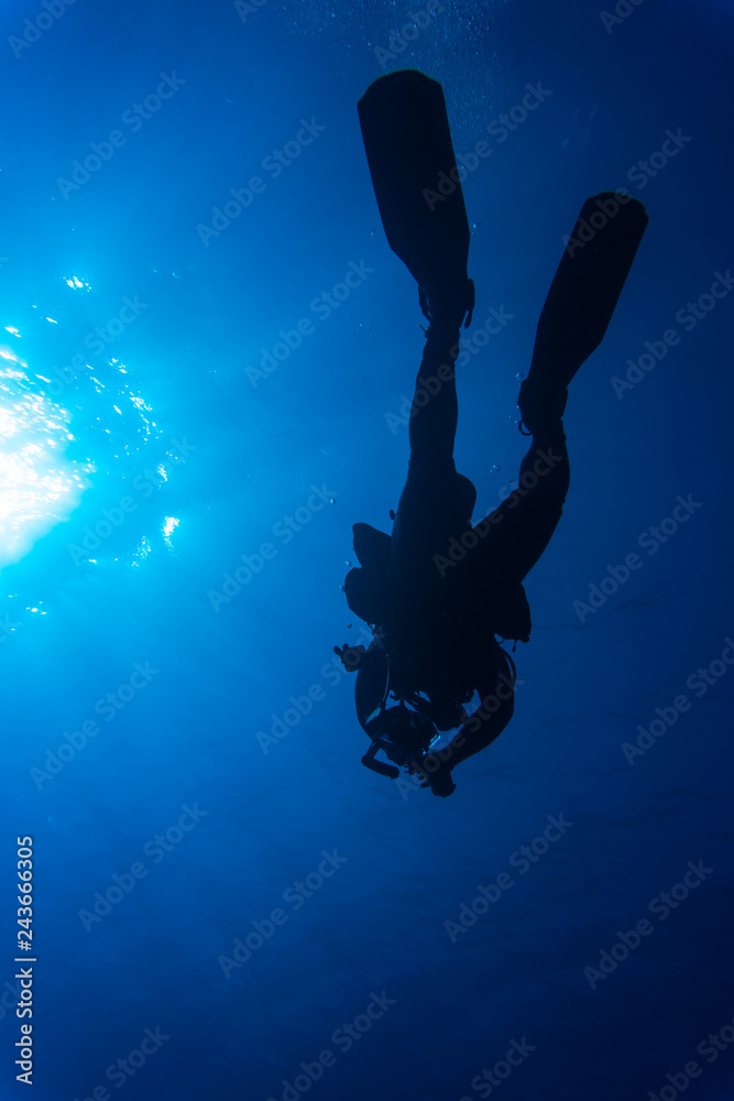 Diver underwater in deep blue sea. Man in diving gear dives up to water ...