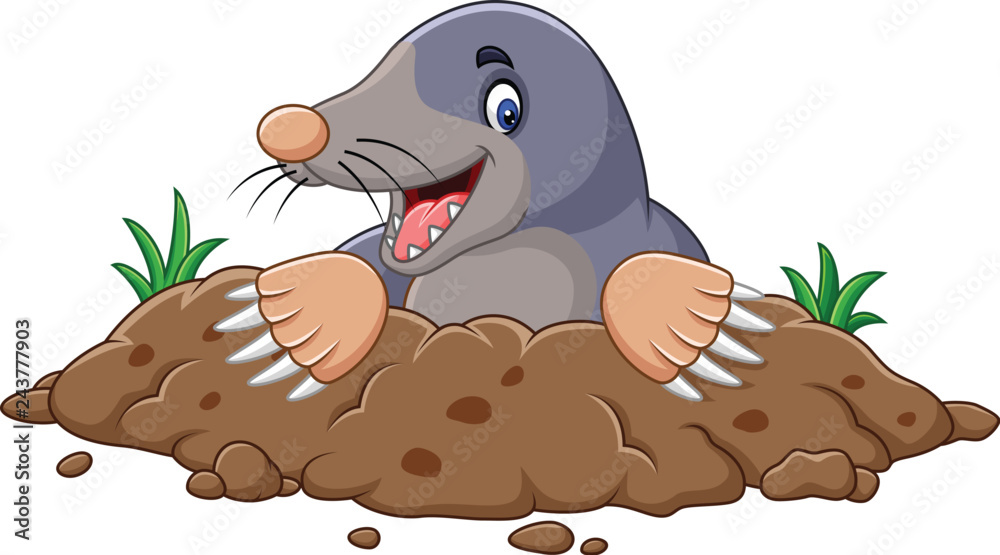 Cartoon mole come out of the hole Stock Vector | Adobe Stock