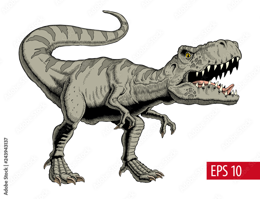 Tyrannosaurus rex or t rex dinosaur isolated on white. Comic style ...