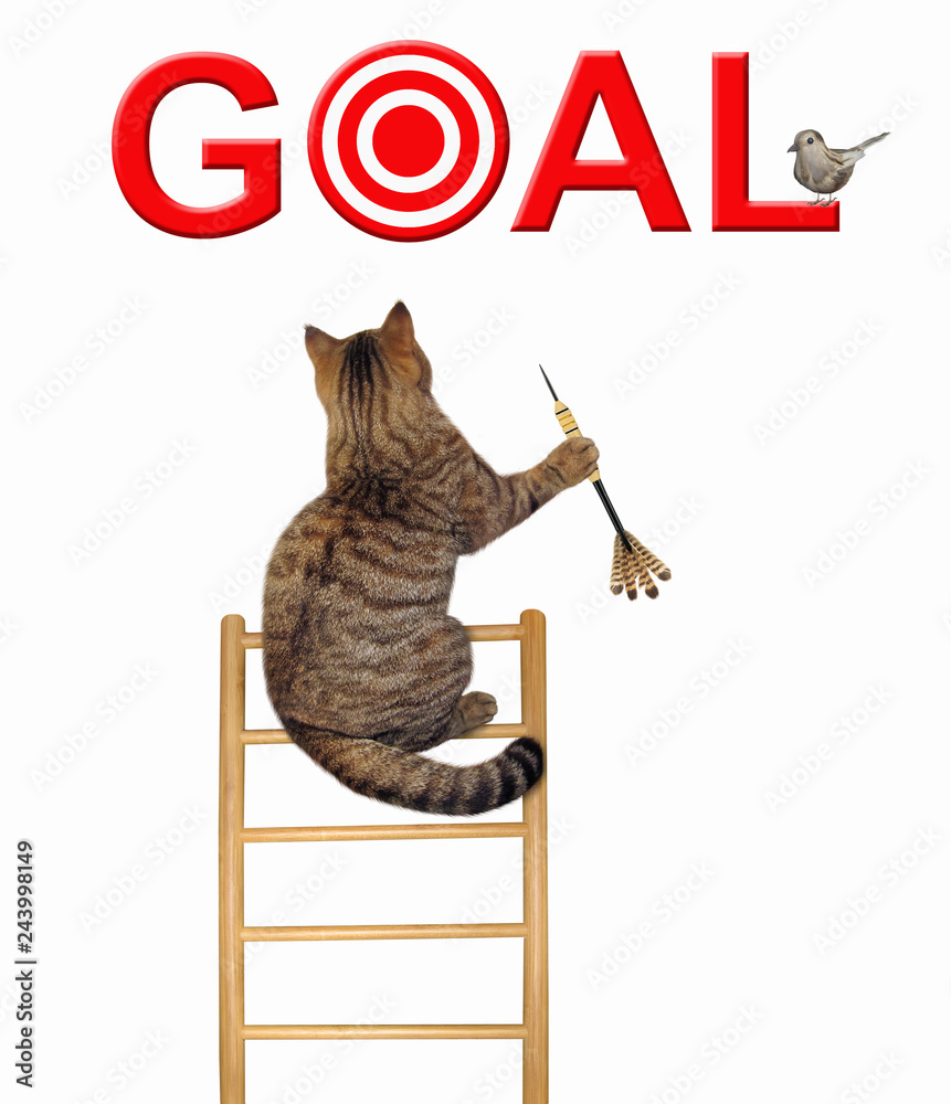 The cat with a dart climbed up the wooden ladder to catch the bird ...