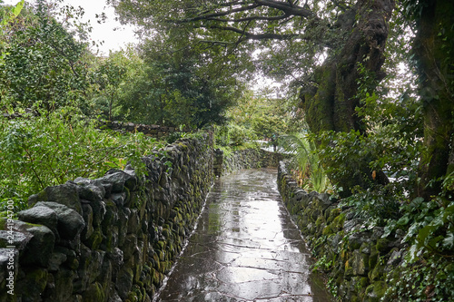 Narrow rocky pathway and stone walls on a rainy day at Jeju Island ...