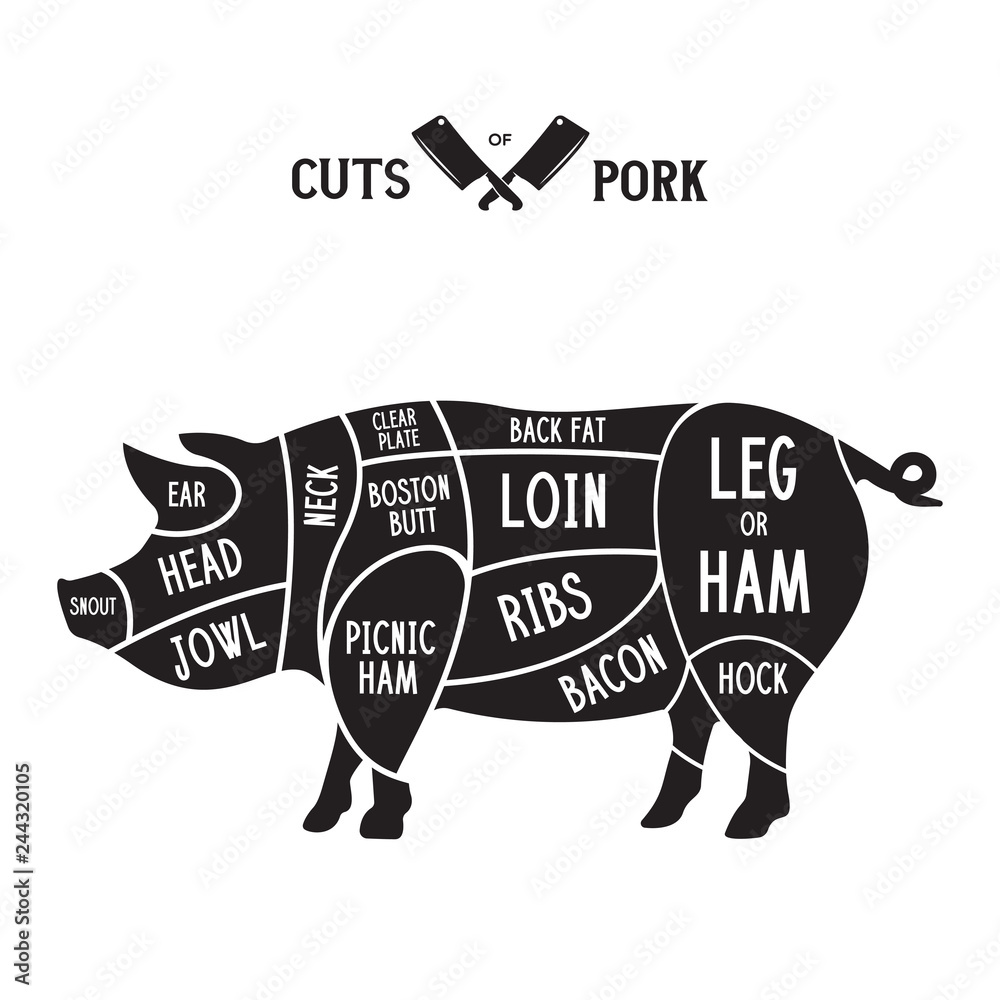 Meat cuts - pork. Diagrams for butcher shop. Scheme of pork. Animal ...