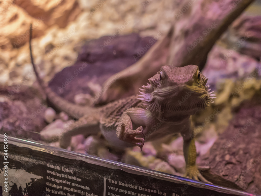 Antalya, Turkey - largest Turkish city on the Mediterranean coast ...