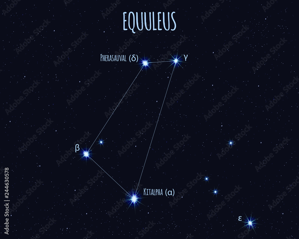 Equuleus (The Little Horse) constellation, vector illustration with the ...