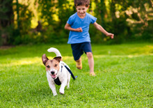 Boy With Dog Free Stock Photo - Public Domain Pictures