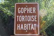Gopher Tortoise Sign Free Stock Photo - Public Domain Pictures