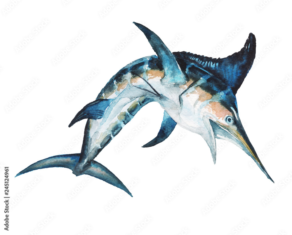 Watercolor hand-drawn marlin illustration - jumping up, playful, happy ...